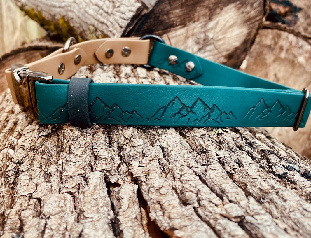 Flat Collar – adventurefitcanine