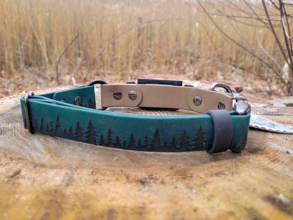 Flat Collar – adventurefitcanine